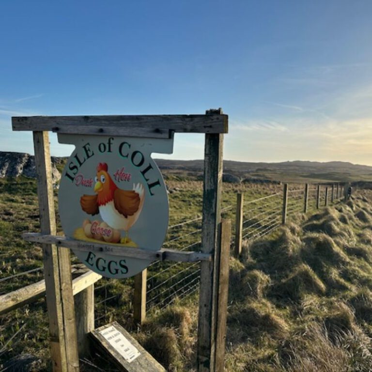 Coll Medical Practice | GP Practice